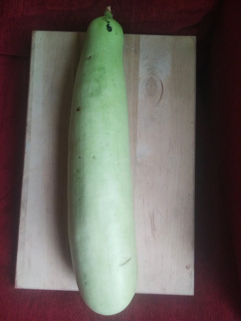 Bottlegourd Halwa / Gardudde Halwo/ Lauki Halwa | Healthy cooking with ...